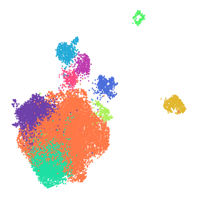 Human muscle ageing cell atlas