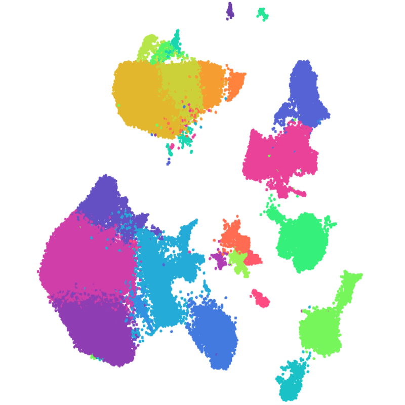 Human muscle ageing cell atlas