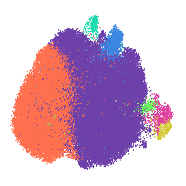 Human muscle ageing cell atlas